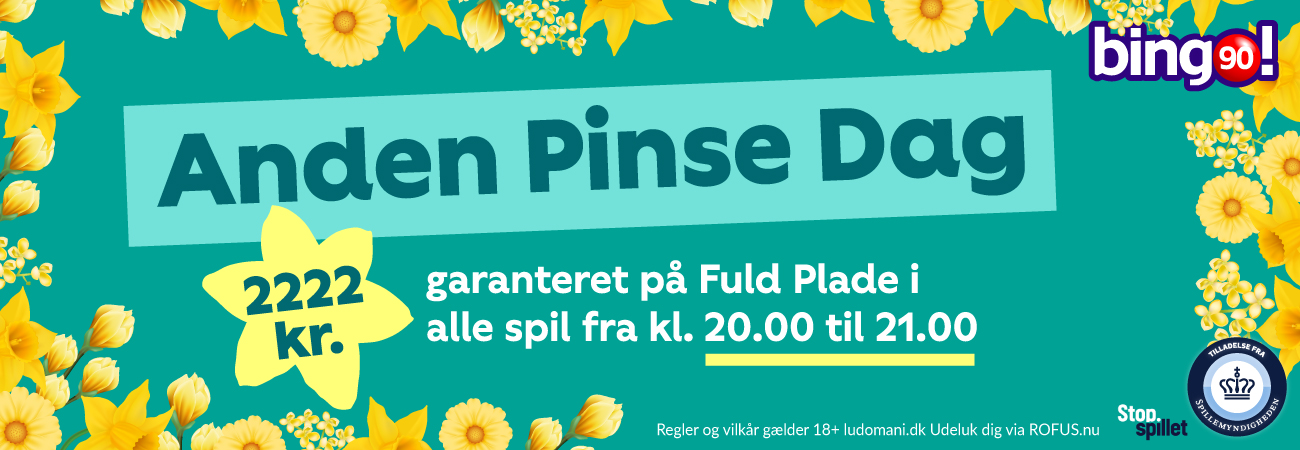 Anden Pinse Dag